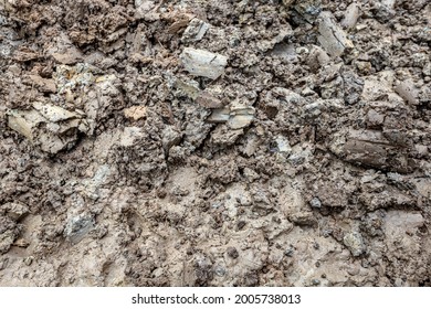 629 Grey ooze Images, Stock Photos & Vectors | Shutterstock