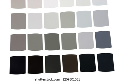 Gray Paint Sample Card Selection Stock Photo 1209801031 | Shutterstock
