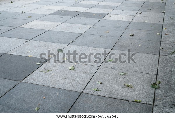 Gray Paving Slab Background Fallen Leaves Stock Photo 669762643 ...