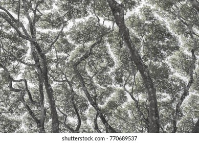 62 Colourless Landscape Images, Stock Photos & Vectors | Shutterstock