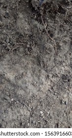 Gray Soil Root Background Texture Stock Photo 1563916603 | Shutterstock
