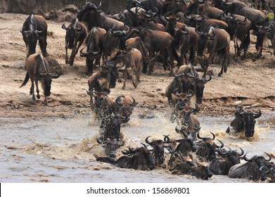 Great Migration Stock Photo 156869801 | Shutterstock