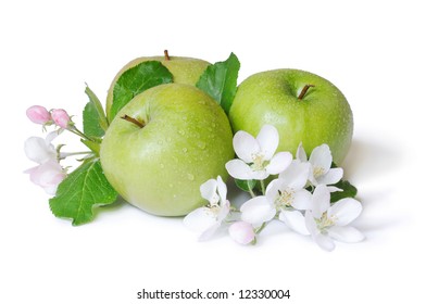 281,634 Green apple flower Images, Stock Photos & Vectors | Shutterstock