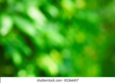 1,827,769 Fun green background Images, Stock Photos & Vectors ...