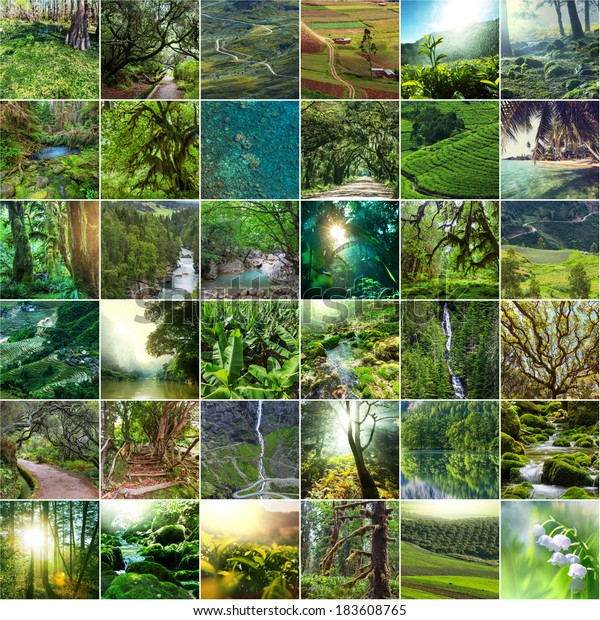 Green Collage Stock Photo 183608765 | Shutterstock