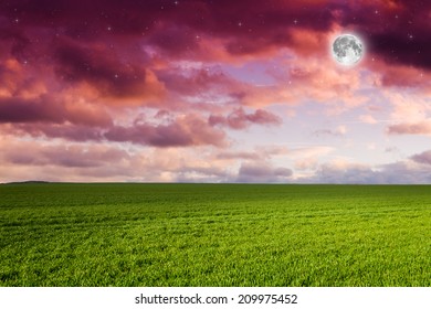 Green Field Night Elements This Image Stock Photo 209975452 | Shutterstock