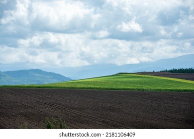 Green Fields Shining Sunlight Stock Photo 2181106409 | Shutterstock