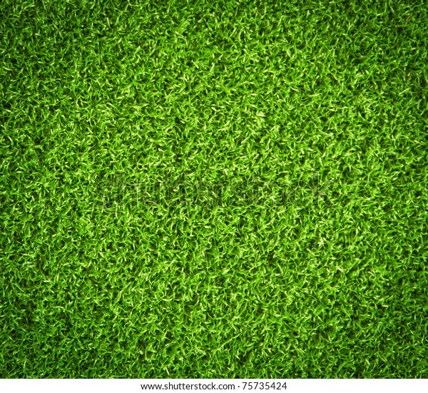Green Grass Background Stock Photo 75735424 | Shutterstock