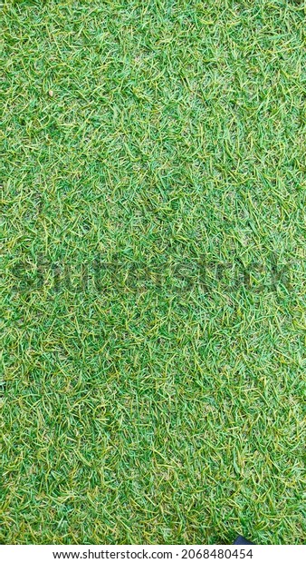 Green Grass Background Green Grass Backdrop Stock Photo 2068480454 ...