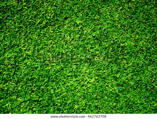 Green Grass Background Turf Grass Surface Stock Photo 462763708 ...