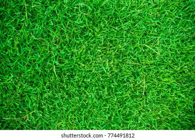 Green Grass Pattern Top View Texture Stock Photo 774491812 | Shutterstock