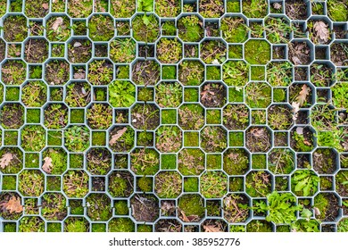 Green Grass Plastic Block Pattern Background Stock Photo 385952776 ...