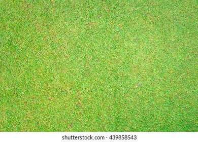 Green Grass Texture Stock Photo 439858543 | Shutterstock