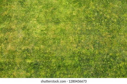 233,126 Grass from above Images, Stock Photos & Vectors | Shutterstock