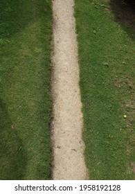 Green Grass Texture Path Stock Photo 1958192128 | Shutterstock