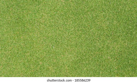 Seamless Square Green Grass Texture Stock Photo (Edit Now) 366793406