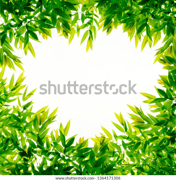 Green Leaf Border Frame Background Stock Photo 1364171306 | Shutterstock