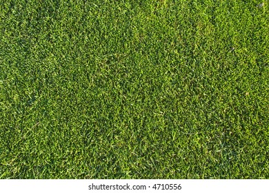 5,876 Grass repeat Stock Photos, Images & Photography | Shutterstock