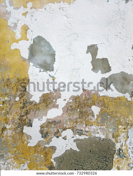 Green Plaster Wall Falling Off Flakes Stock Photo 732980326 | Shutterstock