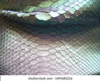 Green Python Skin Snake Skin Texture Stock Photo 1495685216 | Shutterstock