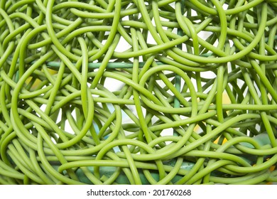 372 Unraveled string Images, Stock Photos & Vectors | Shutterstock