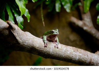 Cartera de fotos e imágenes de stock de Jenn Corker | Shutterstock