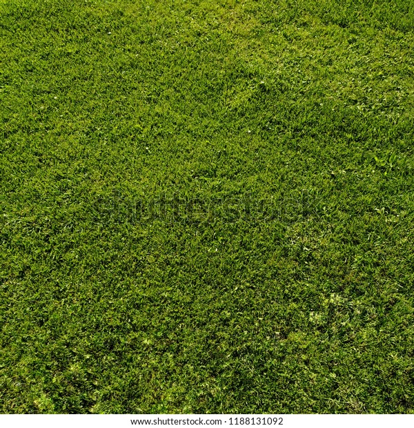 Gresn Grass Tile Texture Background Stock Photo 1188131092 | Shutterstock