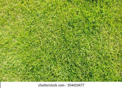 1,242 Background Gress Images, Stock Photos & Vectors | Shutterstock