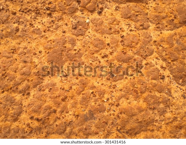 Ground Floor Texture Backgrounds Stock Photo 301431416 | Shutterstock
