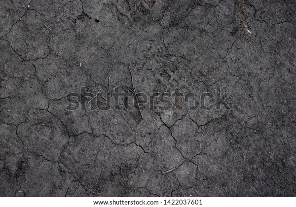 Ground Floor Texture Close Depth Field Stock Photo 1422037601 | Shutterstock