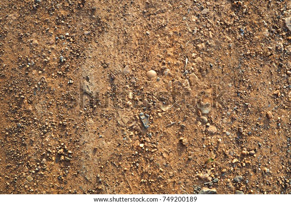 Ground Floor Texture Close Depth Fieldbrown Stock Photo 749200189 ...