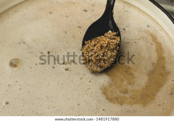 Ground Malt On Spoon Process Making Stock Photo 1481917880 | Shutterstock