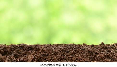 Ground Substrate Soil Frame Border Isolated Stock Photo 1714290565 ...