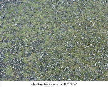 Bubble Water Sewage Texture Flooding After Stock Photo 1489527674 ...