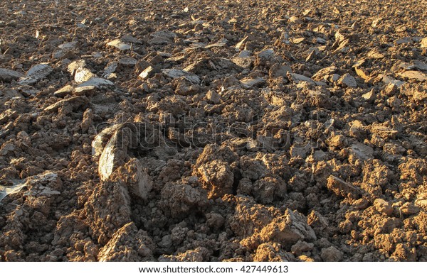 Ground Texture Stock Photo 427449613 | Shutterstock