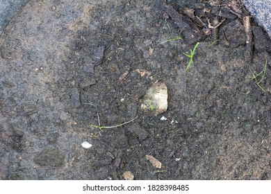 Ground Texture Background Editing Stock Photo 1828398485 | Shutterstock