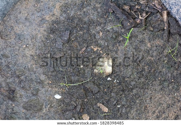 Ground Texture Background Editing Stock Photo 1828398485 | Shutterstock