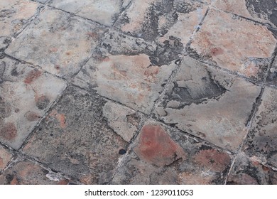 Ground Texture Backgrounds Stock Photo 1239011053 | Shutterstock