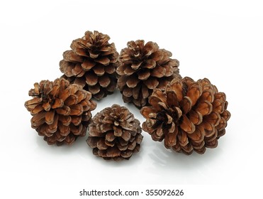 Group Five Pine Cones On White Stock Photo 355092626 | Shutterstock