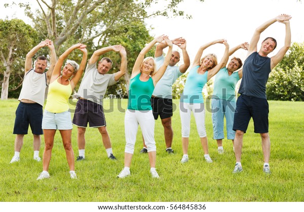 Group People Doing Flexibility Exercises Stock Photo (Edit Now) 564845836