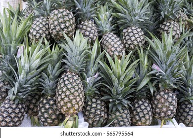 Group Pineapple Stock Photo 565795564 | Shutterstock