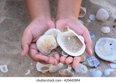Group Shell Hand Stock Photo 420442894 | Shutterstock