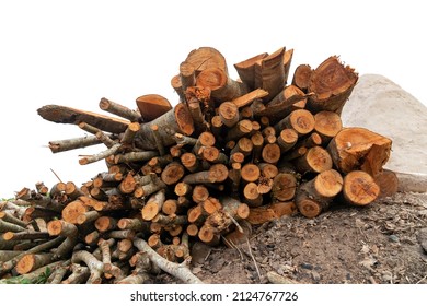1,195 Pinewood log Images, Stock Photos & Vectors | Shutterstock
