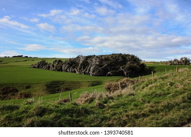 Windswept land Images, Stock Photos & Vectors | Shutterstock