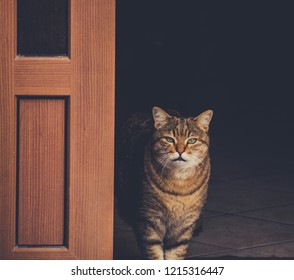 Stock Photo and Image Portfolio by luca chiandoni | Shutterstock