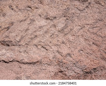 5,460 Worm structure Images, Stock Photos & Vectors | Shutterstock