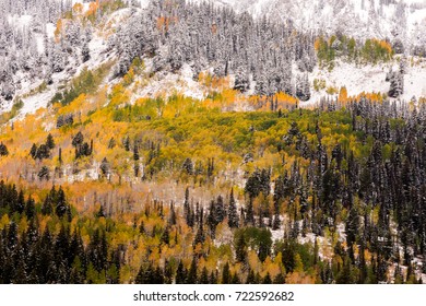 Guardsman Pass Fall Stock Photo 722592682 | Shutterstock