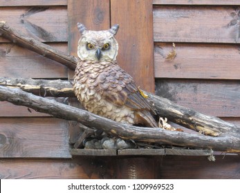 6 Hack Owl Gray Images, Stock Photos & Vectors | Shutterstock