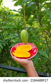 Haft Mango Slice Cut Cubes On Stock Photo 2184688917 | Shutterstock