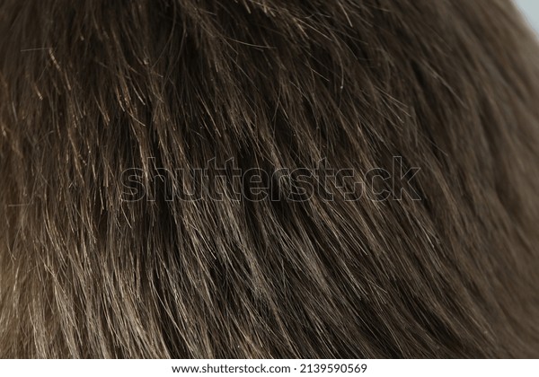20,948 imágenes de Male hair texture - Imágenes, fotos y vectores de ...